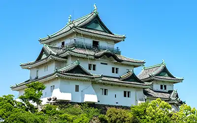 Wakayama Fair 2024: Demonstration & Tasting - Tokyo Central